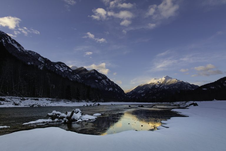 gallery – melissatrottier.com